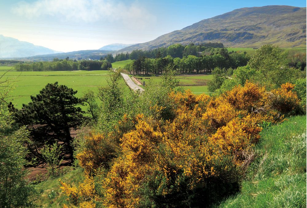 Newtonmore: A Highland Haven - British Holidays Direct